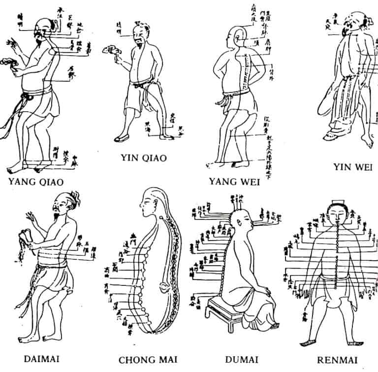 Jing Luo : Cartographie des méridiens et des points - Massage Magnergy