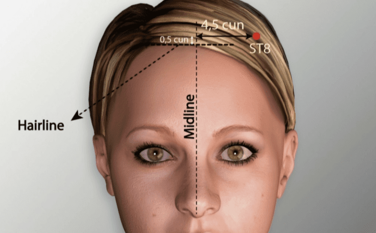 Point Tou Wei (8E) du méridien de l’estomac - Massage Magnergy