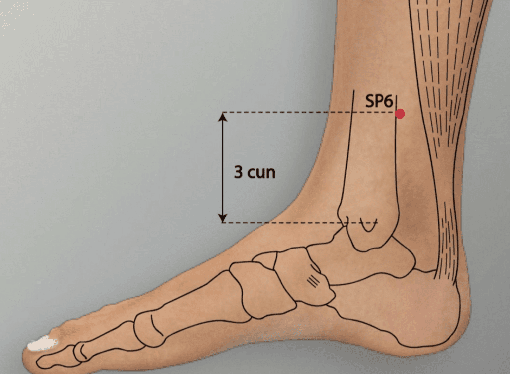 Point San Yin Jiao (6Rt) du Méridien rate / pancréas - Massage Magnergy